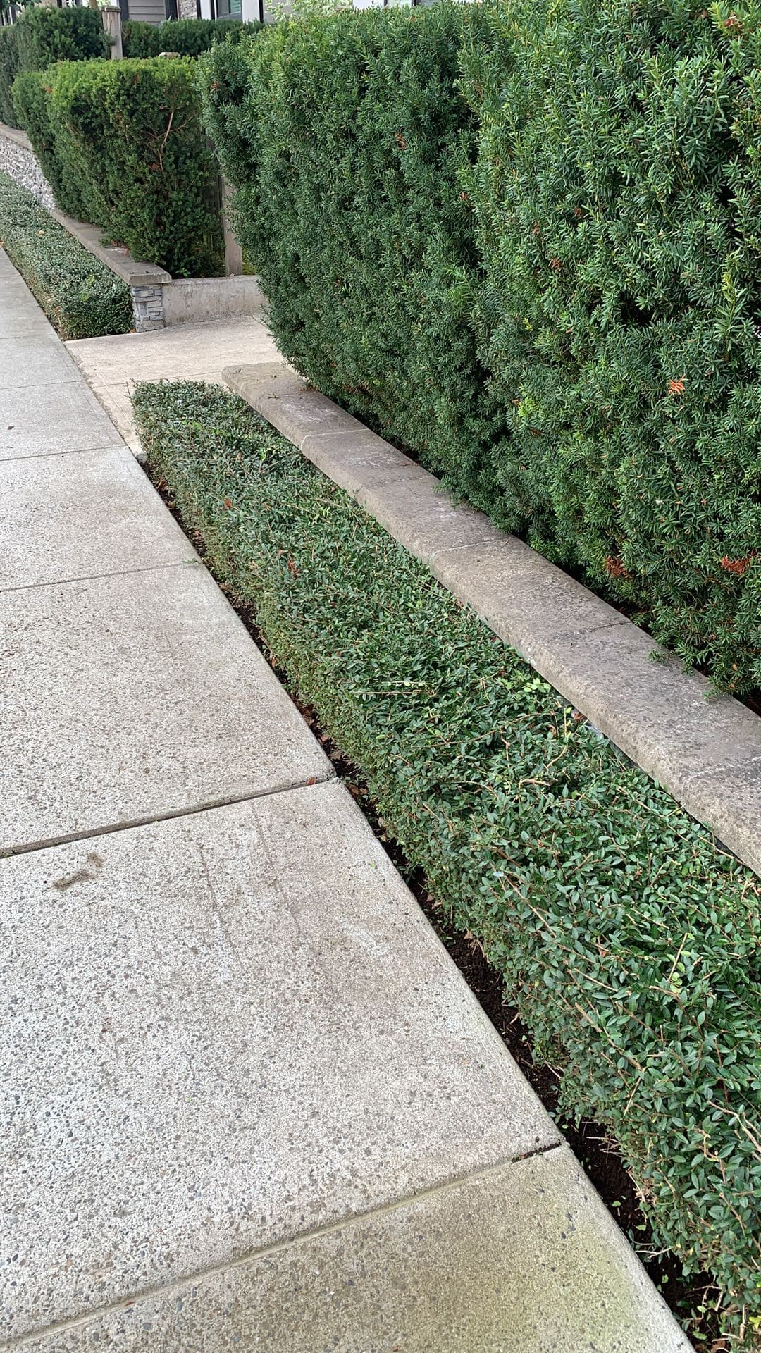 Strata Landscape Maintenance - Atkinson Landscaping Inc