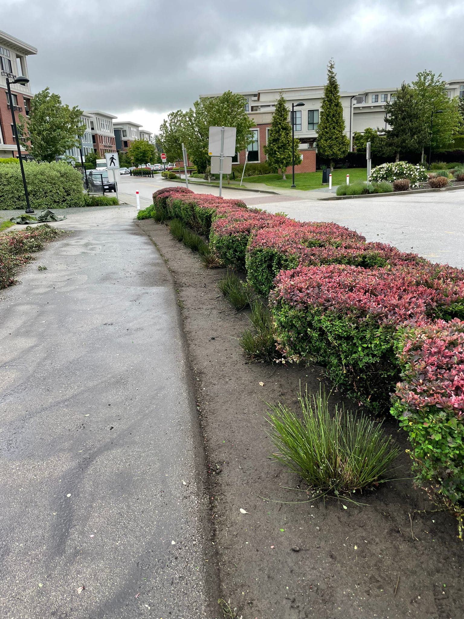 Strata Landscape Maintenance - Atkinson Landscaping Inc