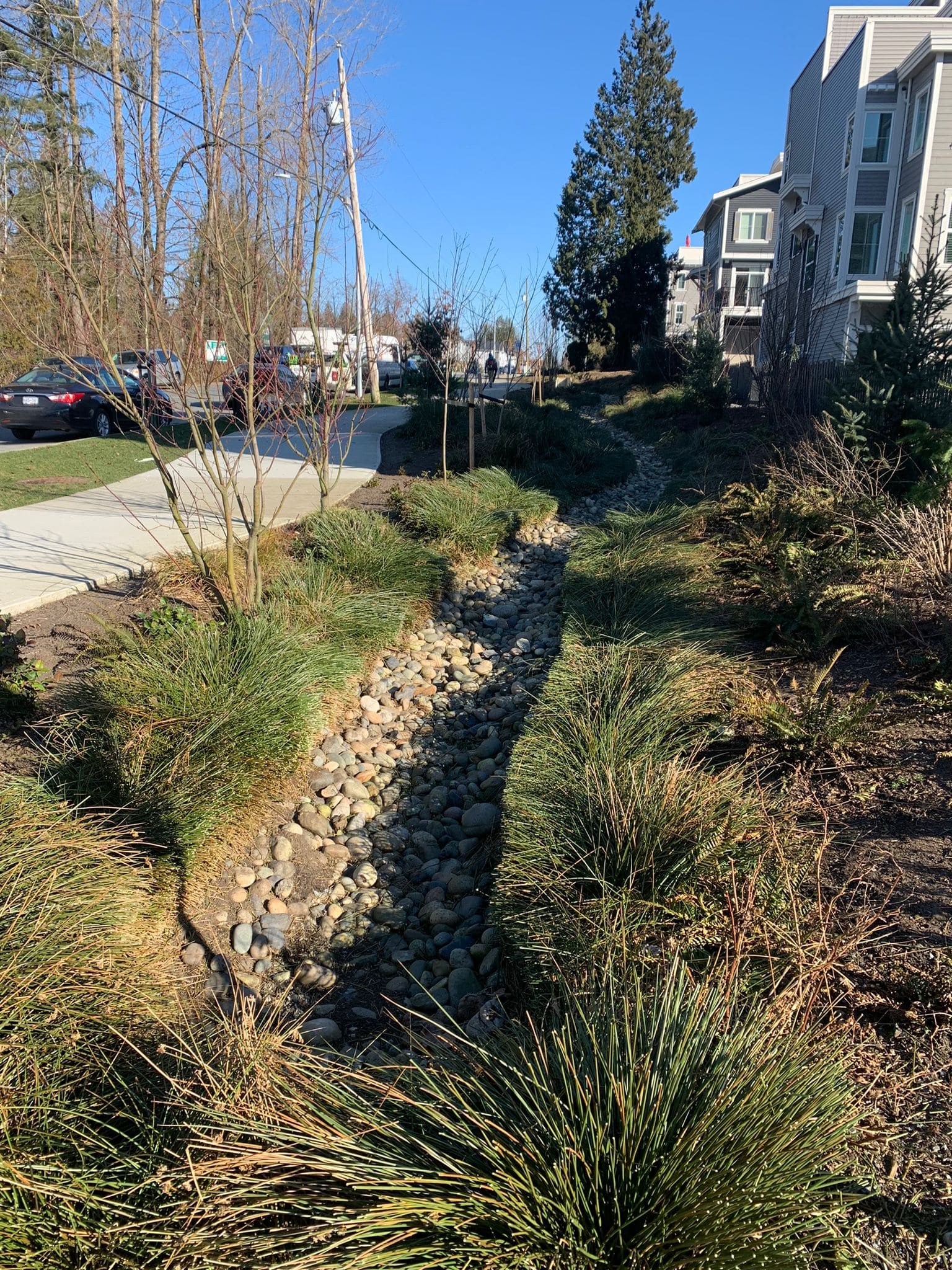 Strata Landscape Maintenance - Atkinson Landscaping Inc